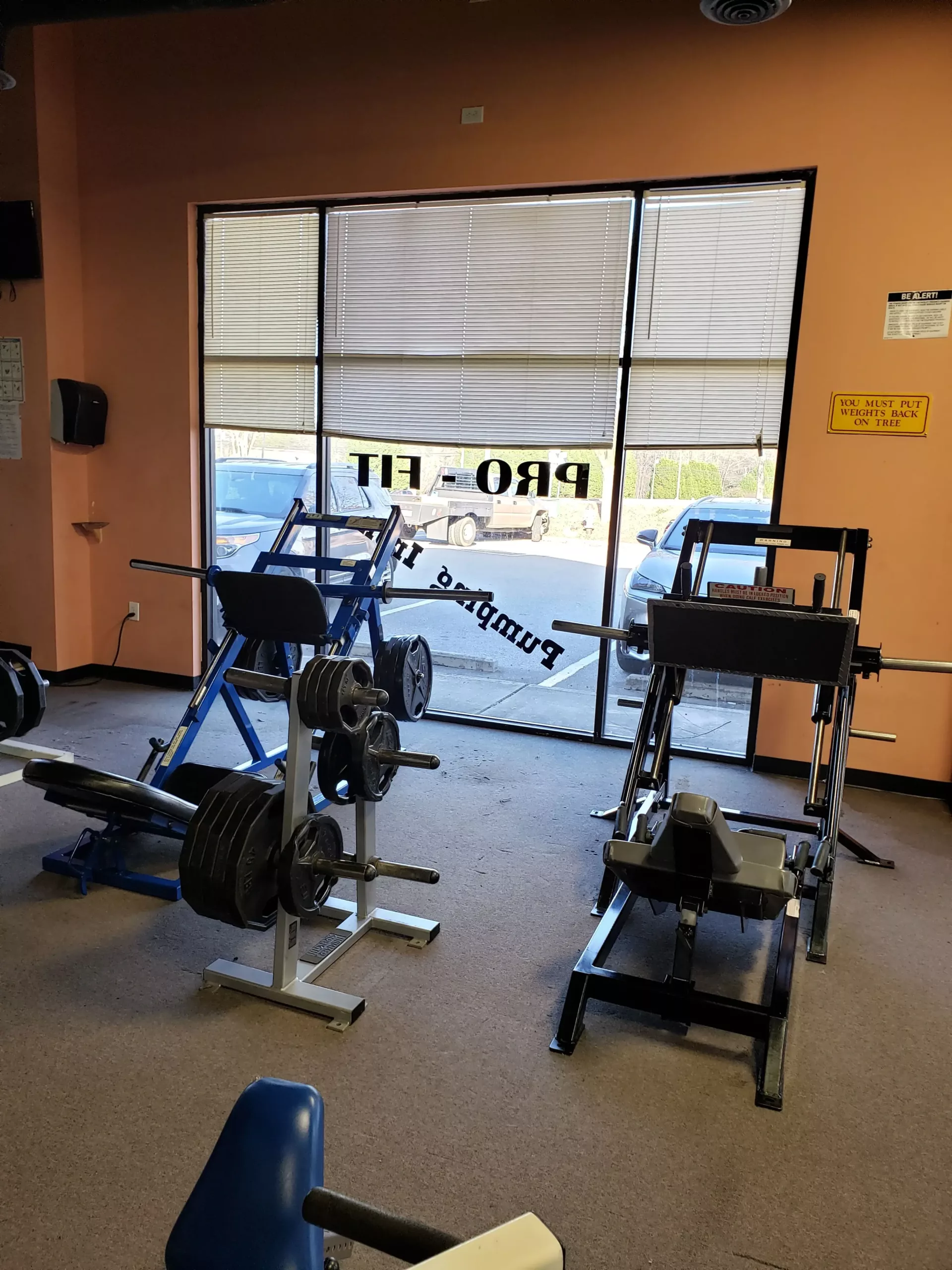 Pumping Iron Pro Fit: Premier Fitness Gym in McDonough, GA! Your 24/7 Gym