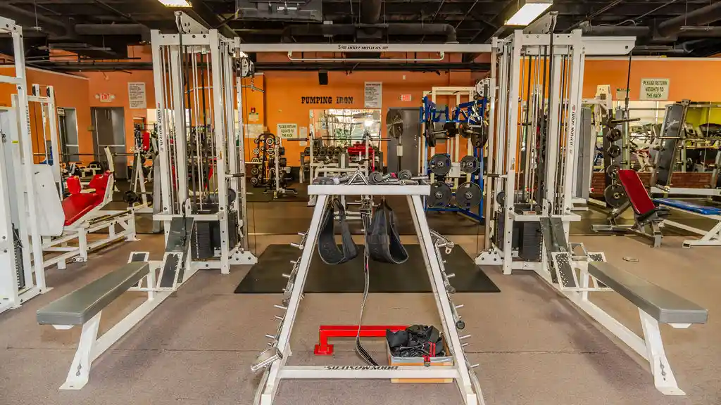 Pumping Iron Pro Fit: Premier Fitness Gym in McDonough, GA! Your 24/7 Gym