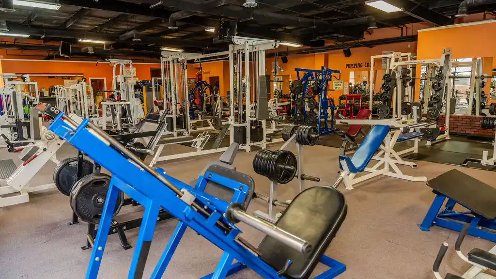 Pumping Iron Pro Fit: Premier Fitness Gym in McDonough, GA! Your 24/7 Gym