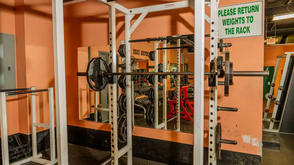 Pumping Iron Pro Fit: Premier Fitness Gym in McDonough, GA! Your 24/7 Gym