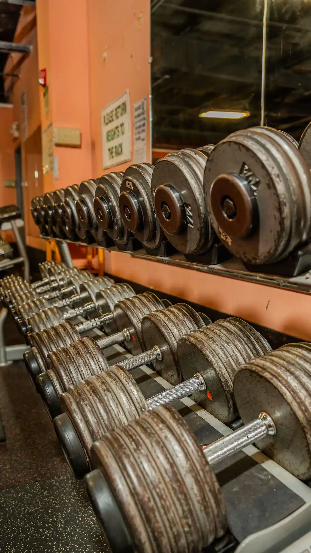 Pumping Iron Pro Fit: Premier Fitness Gym in McDonough, GA! Your 24/7 Gym