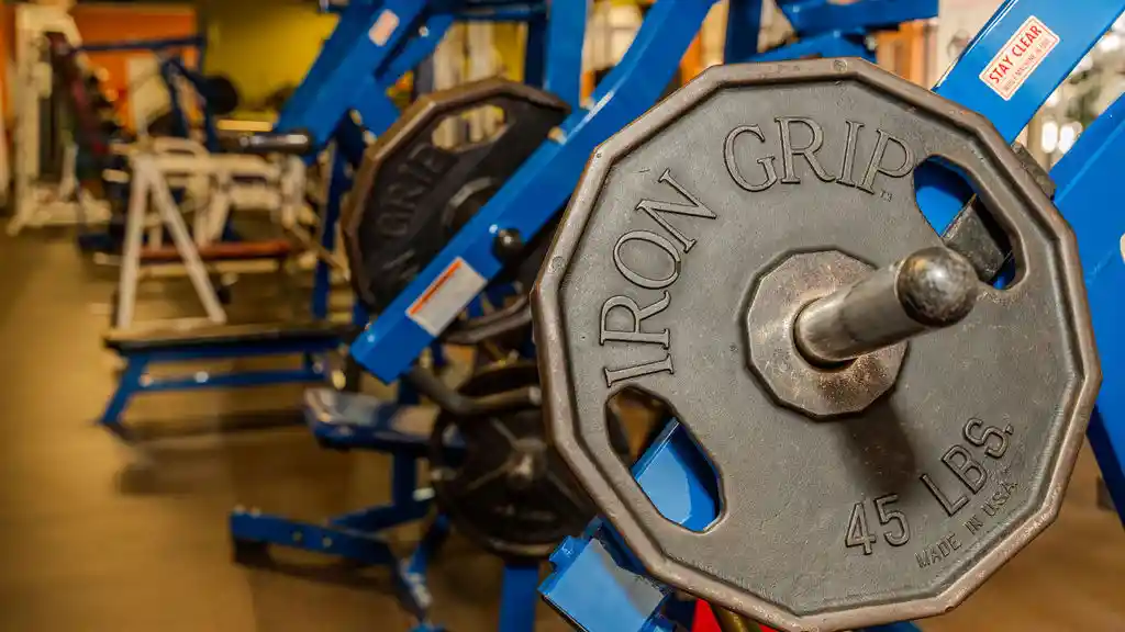 Pumping Iron Pro Fit: Premier Fitness Gym in McDonough, GA! Your 24/7 Gym