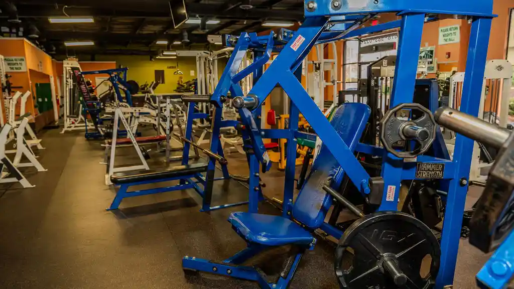 Pumping Iron Pro Fit: Premier Fitness Gym in McDonough, GA! Your 24/7 Gym