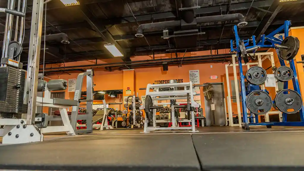 Pumping Iron Pro Fit: Premier Fitness Gym in McDonough, GA! Your 24/7 Gym